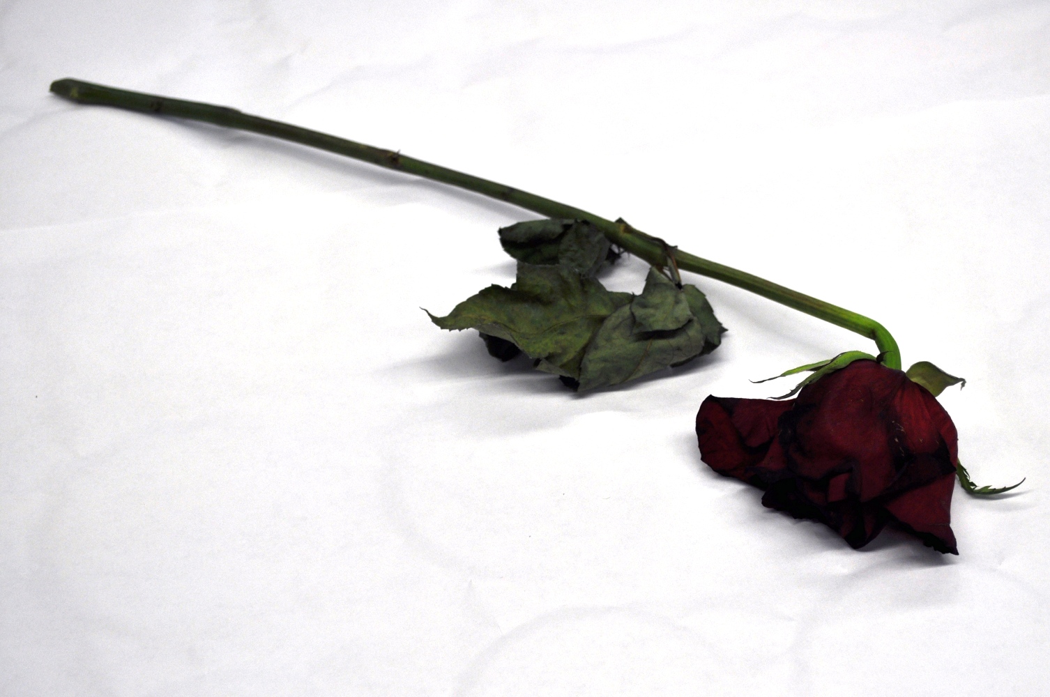 restraint – subtext